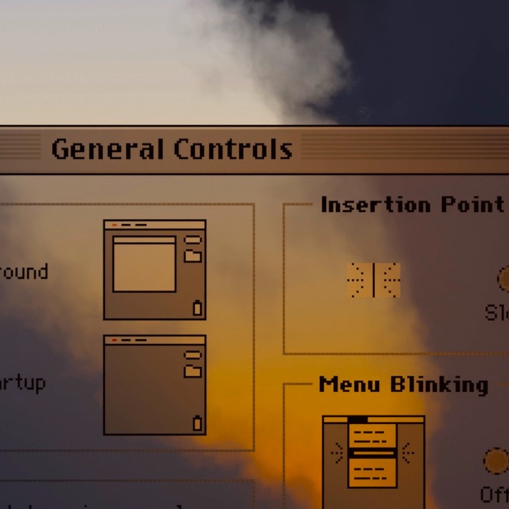General Controls